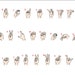 American Sign Language Asl Complete Alphabet and Numbers PNG SVG DXF ...