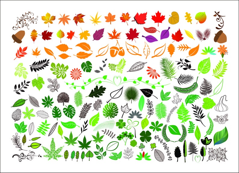 Leaves Svg Bundle Leaf Svg Tropical Leaves Svg Monstera | Etsy