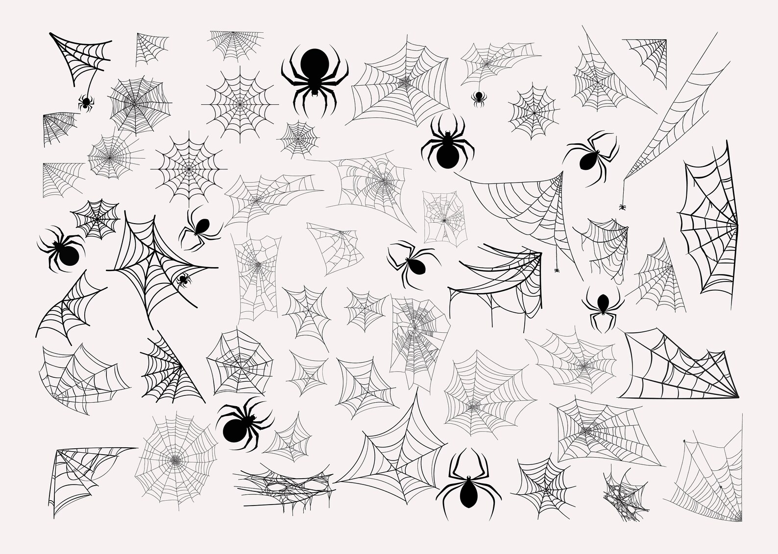Spider Bundle Svg Spiderweb Svg Spiderwebs Svg Halloween | Etsy