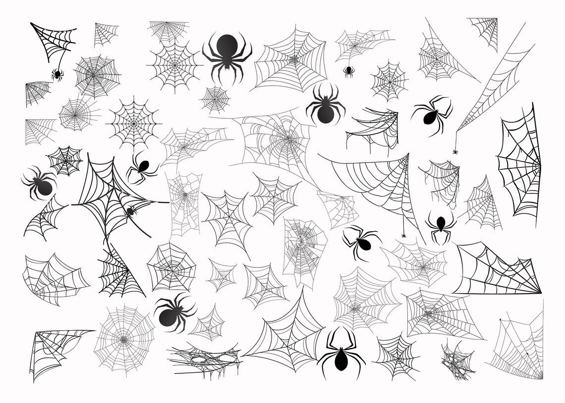 Spider Bundle Svg Spiderweb Svg Spiderwebs Svg Halloween | Etsy