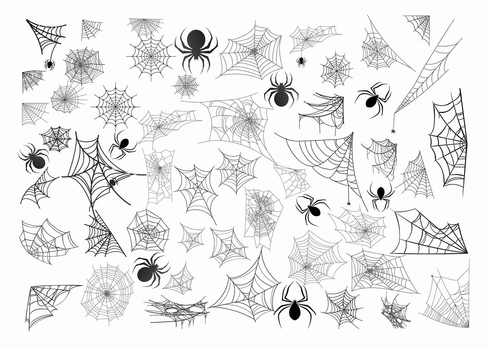 Spider Bundle Svg Spiderweb Svg Spiderwebs Svg Halloween | Etsy