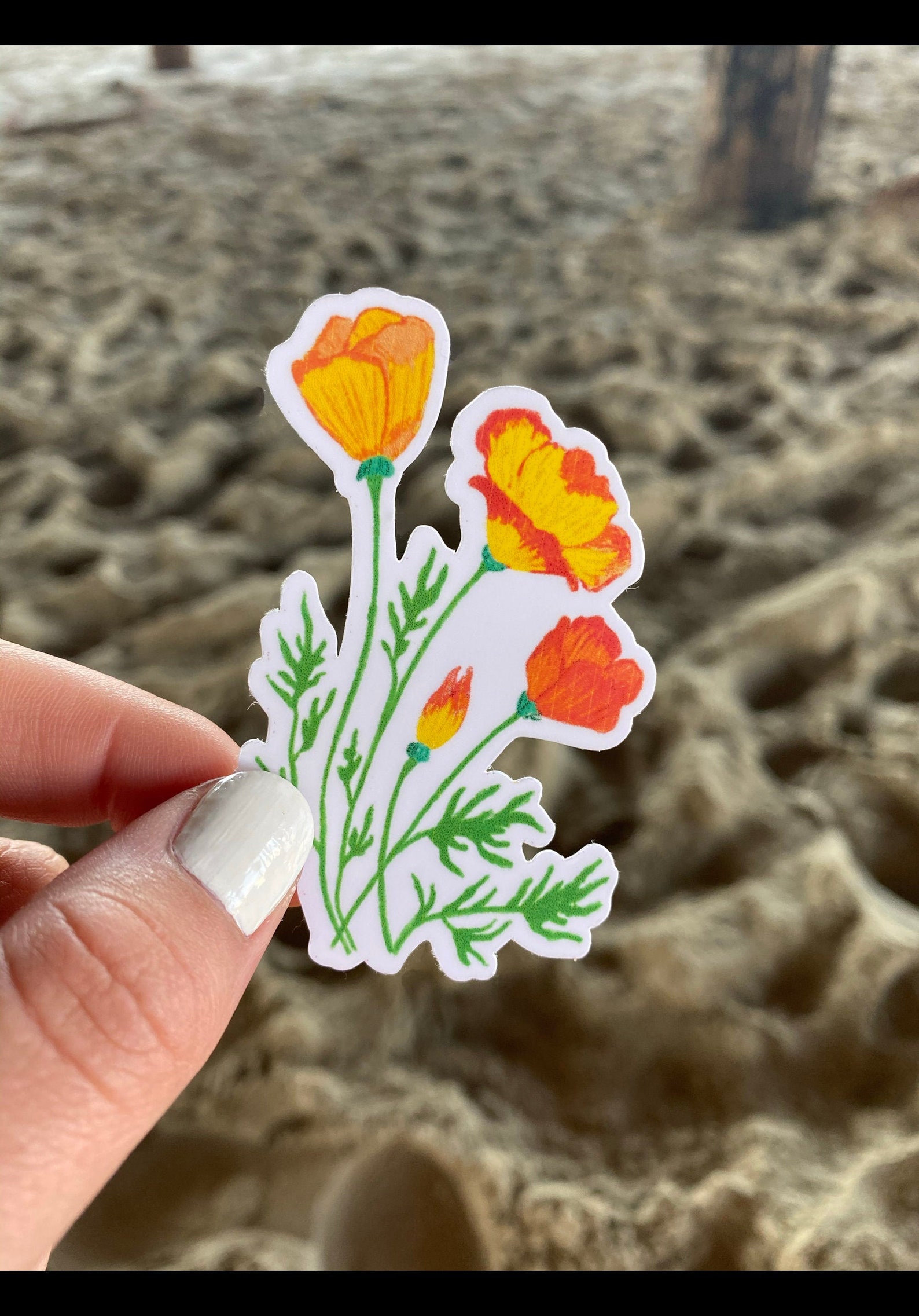 California Poppies Weatherproof Stickers California - Etsy Hong Kong