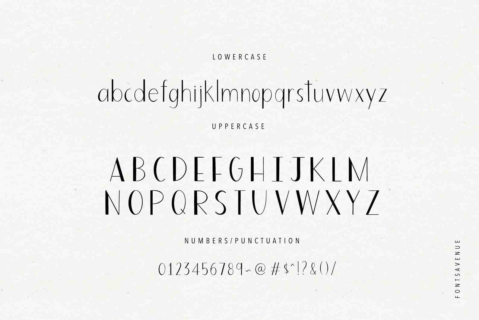 Sleek Font Modern Clean Font Sans Serif Handwritten Font Modern ...