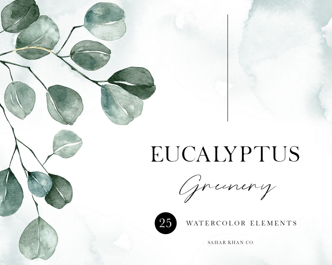 Watercolor Eucalyptus Greenery | Botanical Foliage Leaves | Floral ...