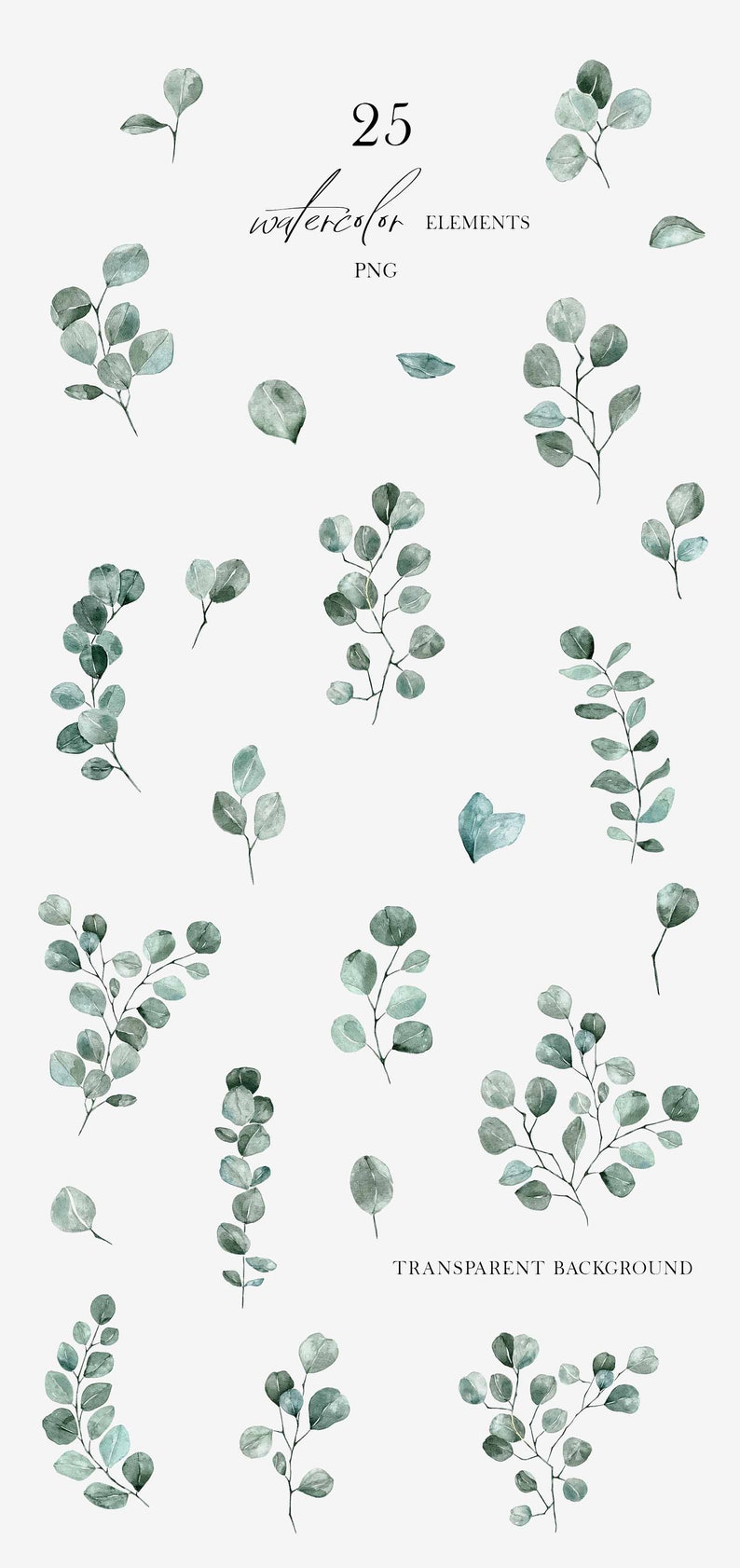 Watercolor Eucalyptus Greenery | Botanical Foliage Leaves | Floral ...