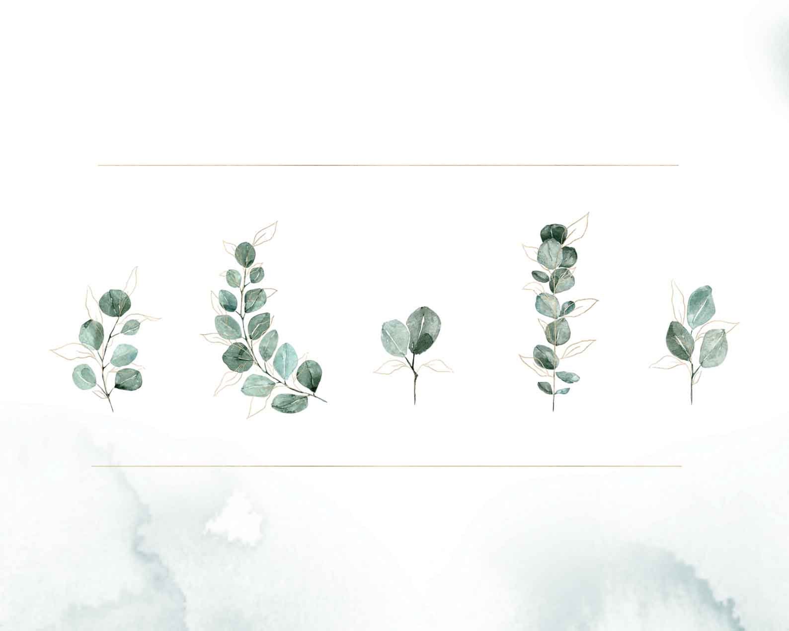 Watercolor Eucalyptus Clipart | Botanical Gold Line Art | Greenery ...