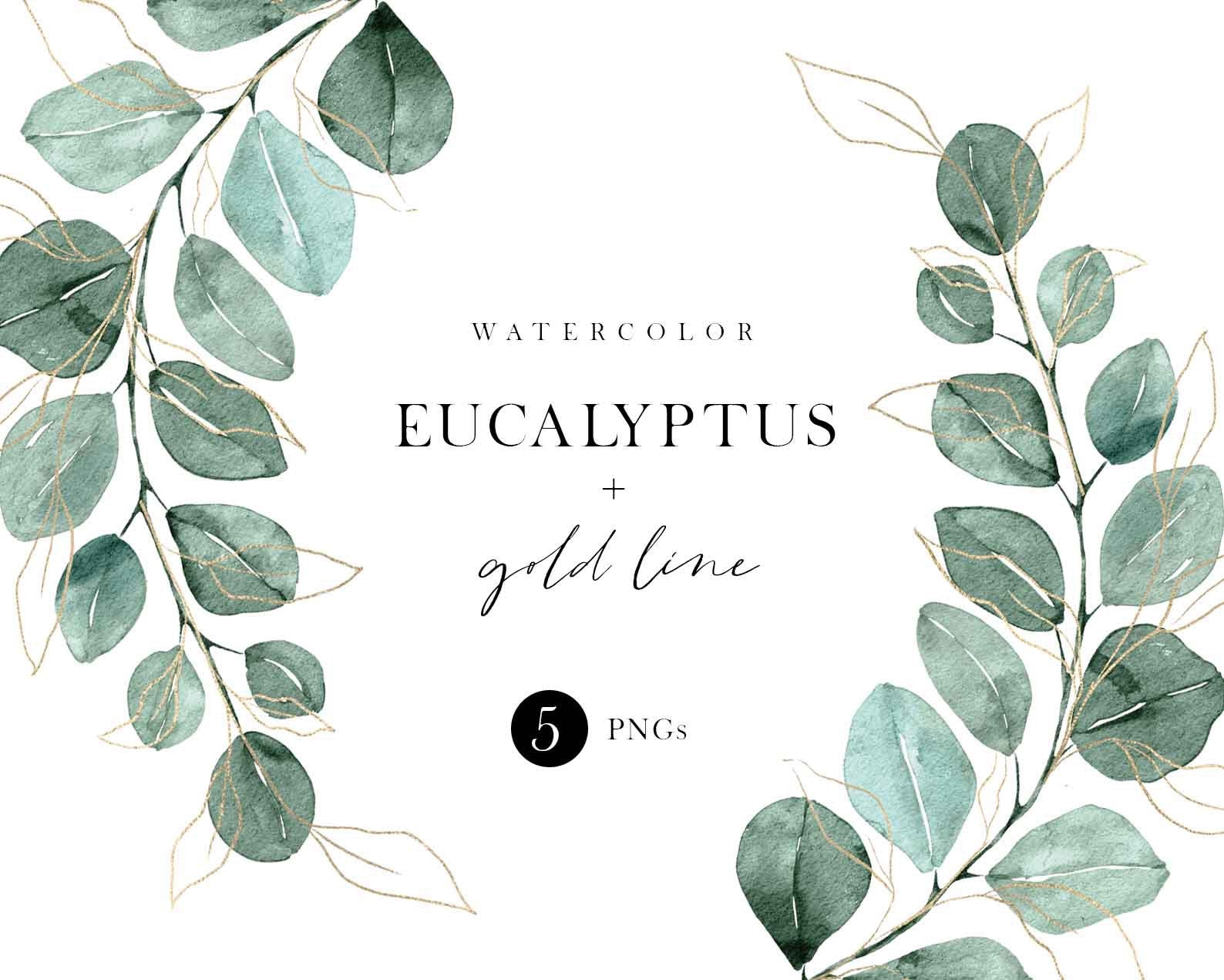 Watercolor Eucalyptus Clipart | Botanical Gold Line Art | Greenery ...