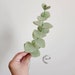 Felt Eucalyptus Tutorial. Digital Pattern for Download and - Etsy