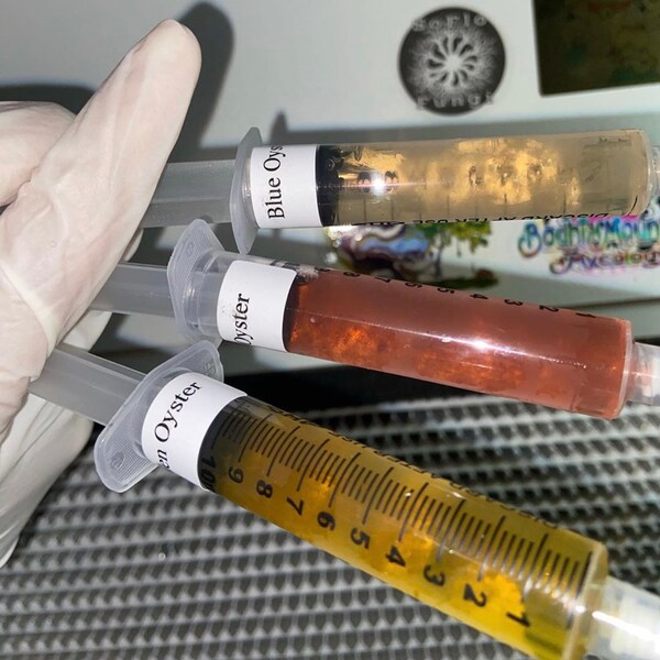 Magic Mushroom Liquid Culture Syringe - Etsy