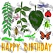 Happy Birthday Bug Banner - SVG Digital File - Png - Insect Party Decor ...