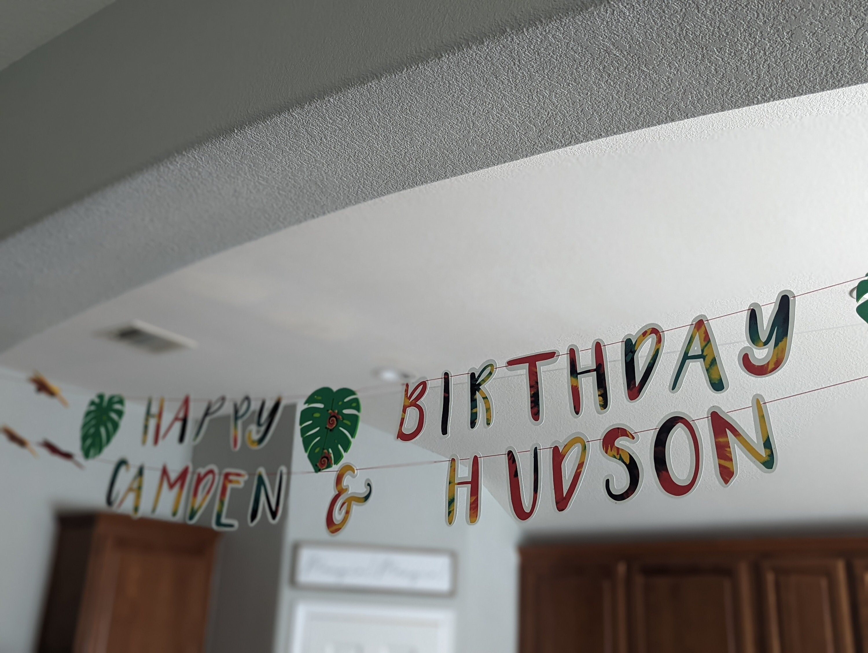 Tropical Reggae Birthday Banner- SVG File for Digital Download ...