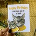 Funny Birthday Sweater Cat/ Smug Cat/ Birthday Card/ Cheeky - Etsy