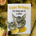 Funny Birthday Sweater Cat/ Smug Cat/ Birthday Card/ Cheeky Humor ...