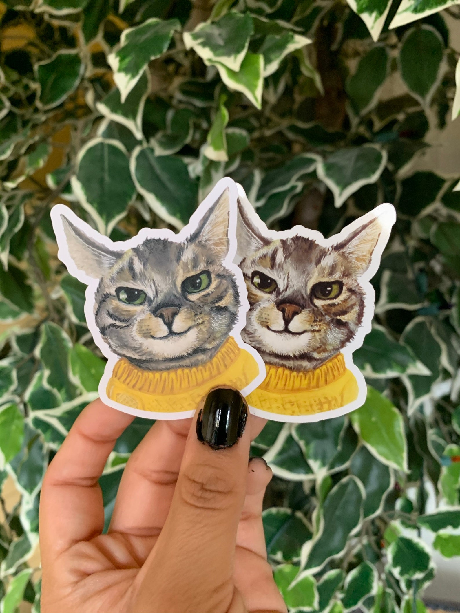 Funny Birthday Sweater Cat/ Smug Cat/ Birthday Card/ Cheeky - Etsy