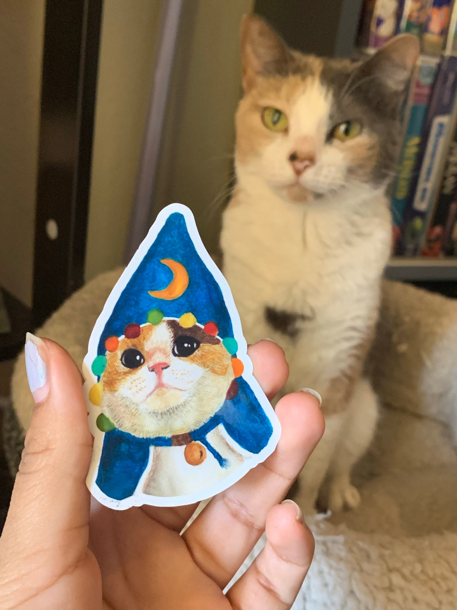 Magical Wizard Cat Sticker Funny Calico Meme Cat Laptop - Etsy