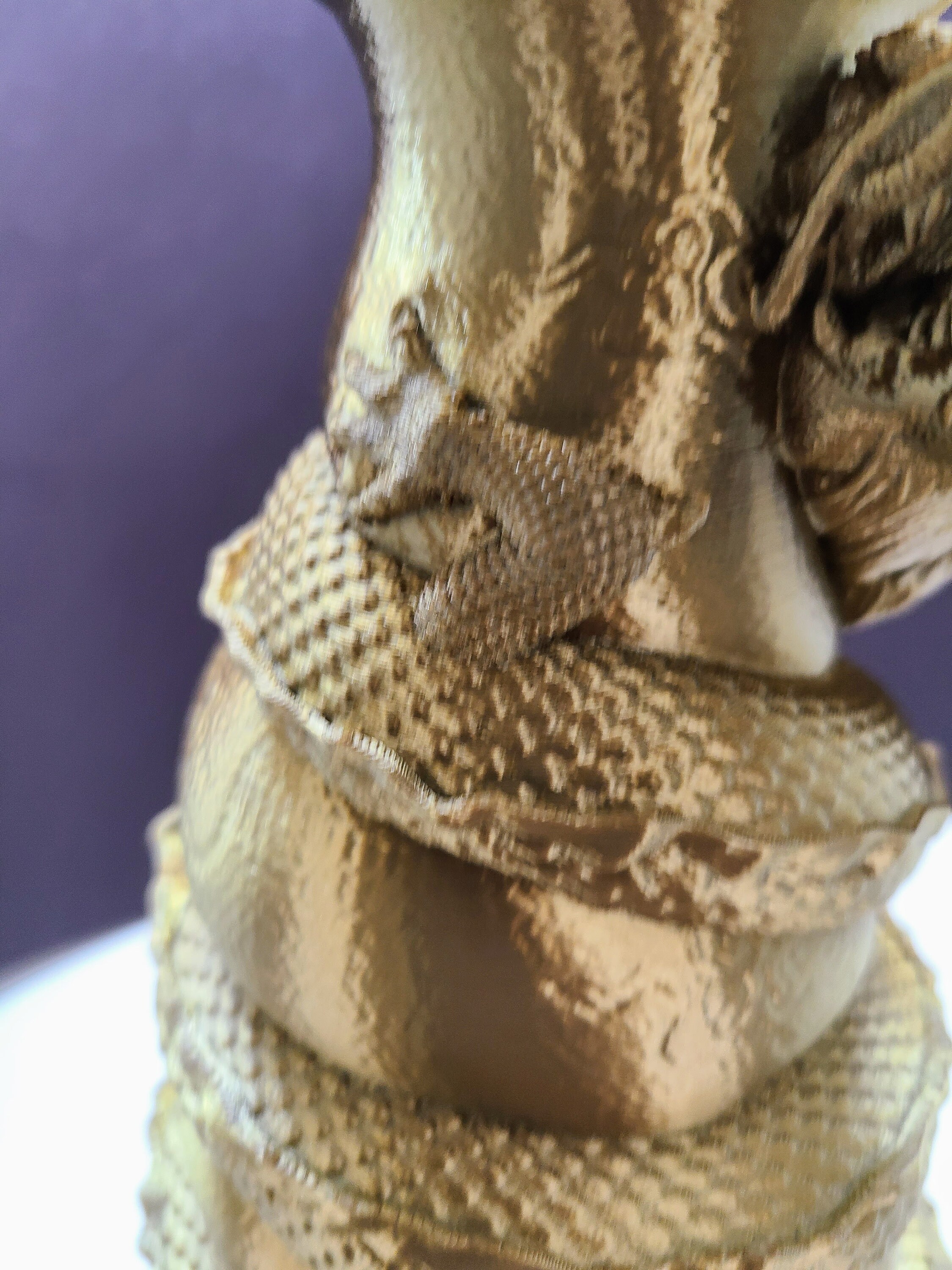 3D Printed Wrap Around Dragon Vase - Etsy