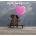 Pirate Ship PNG Digital Overlay - Etsy
