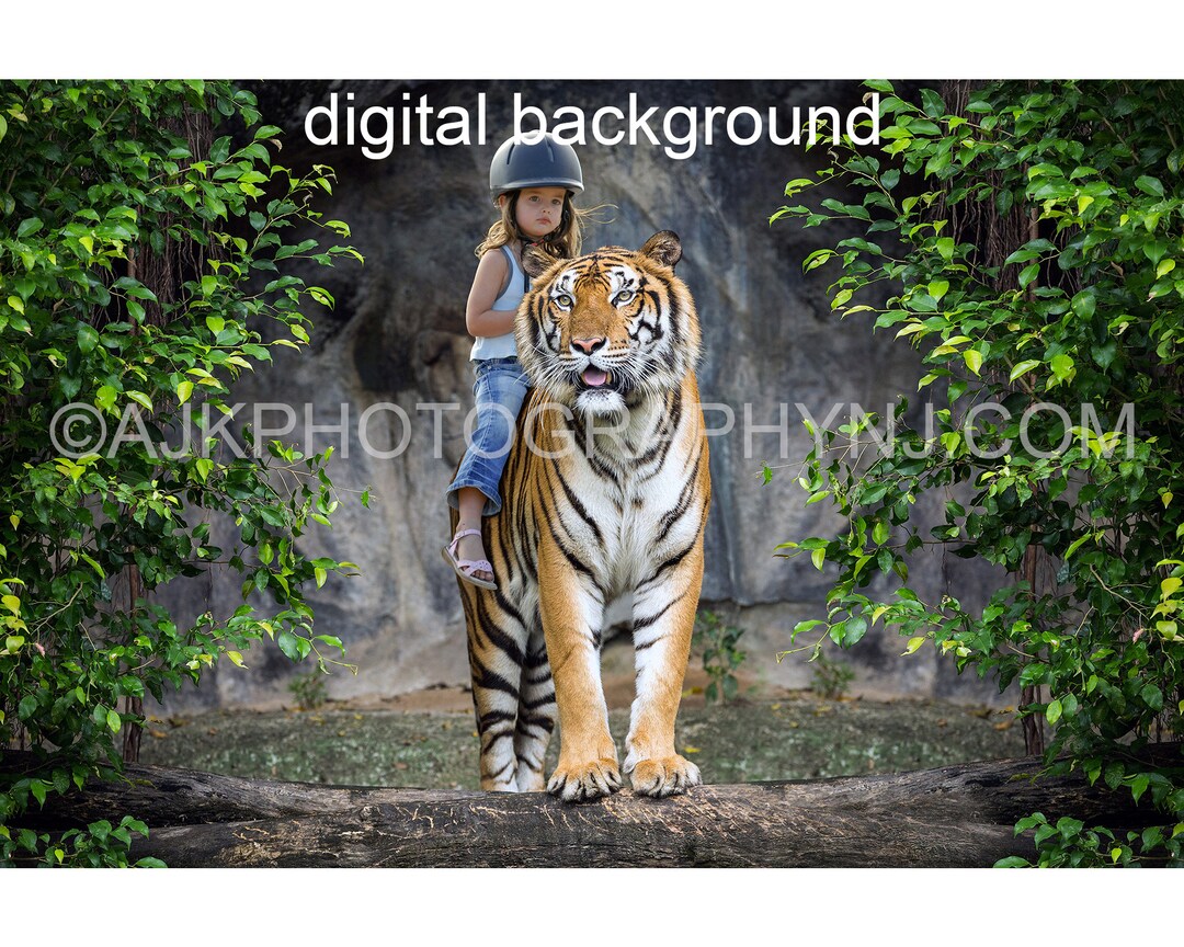 Tiger Digital Background, Tiger on Log in Jungle, Forest Digital ...