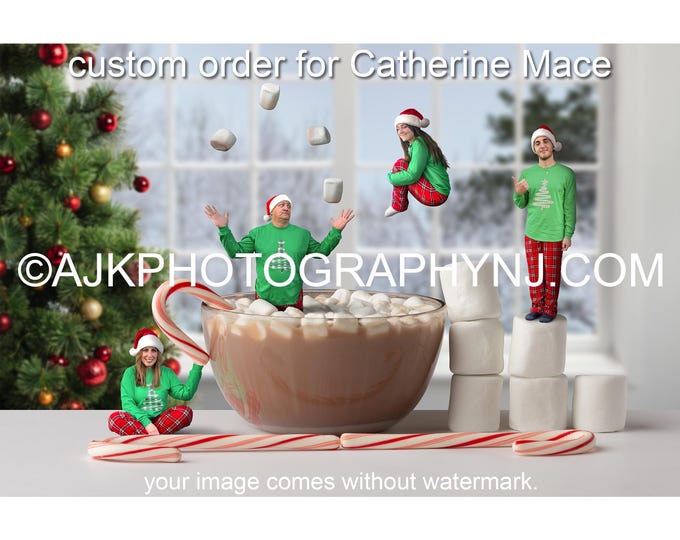 Custom Order for Catherine Mace. A Family of 4 in a Bowl of Hot ...