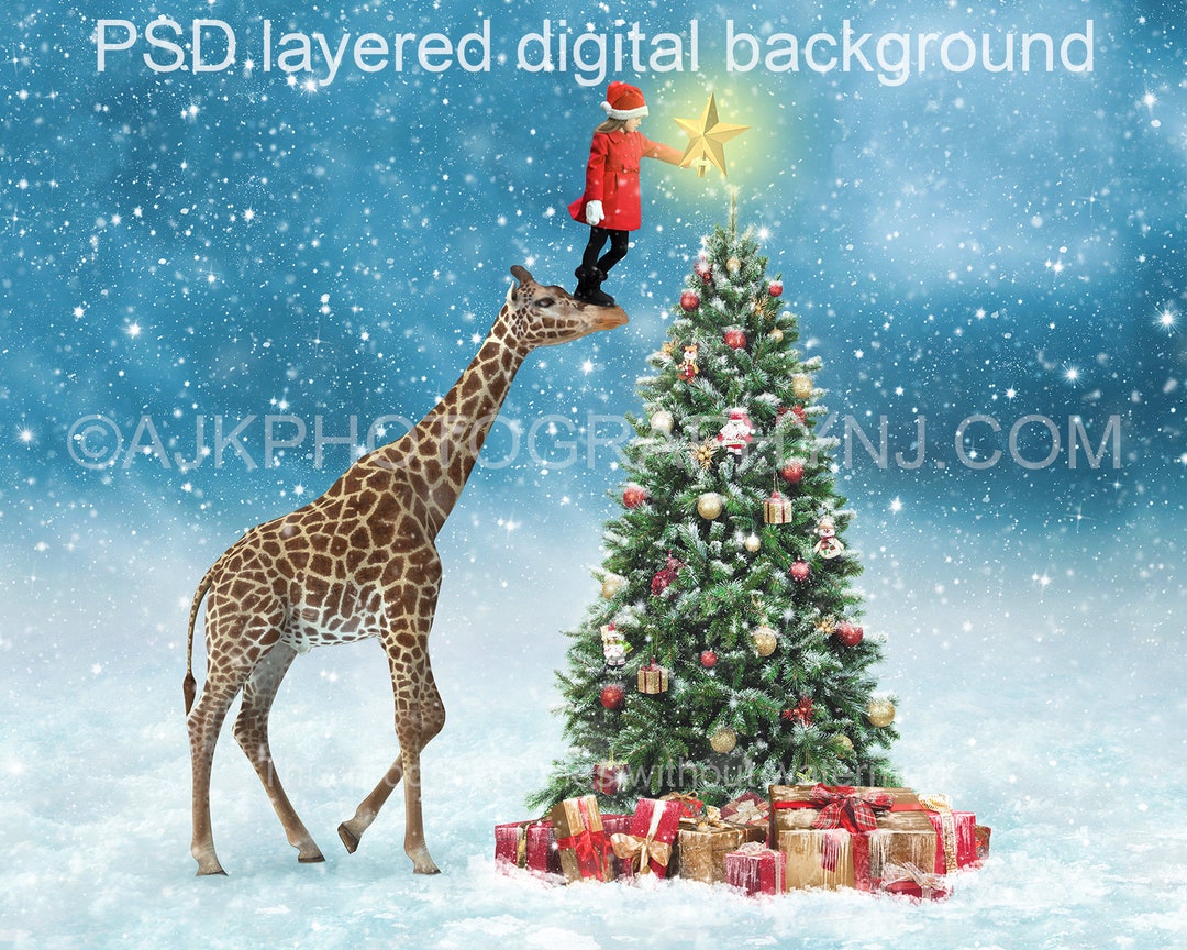 Christmas Digital Background, Giraffe in Front of Christmas Tree ...