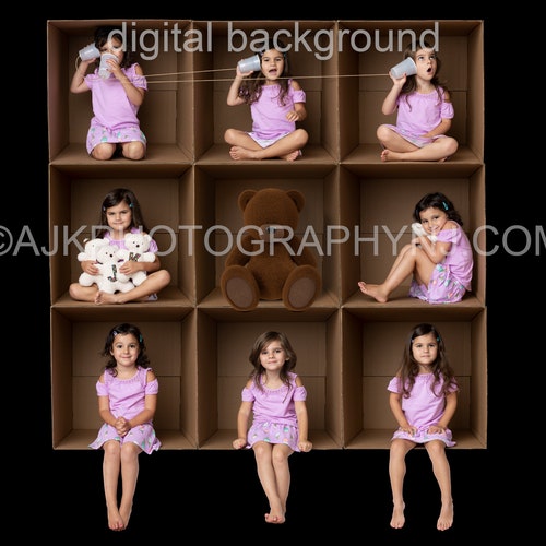 PNG Overlay 9 Empty Cardboard Boxes Template Inside the Box - Etsy