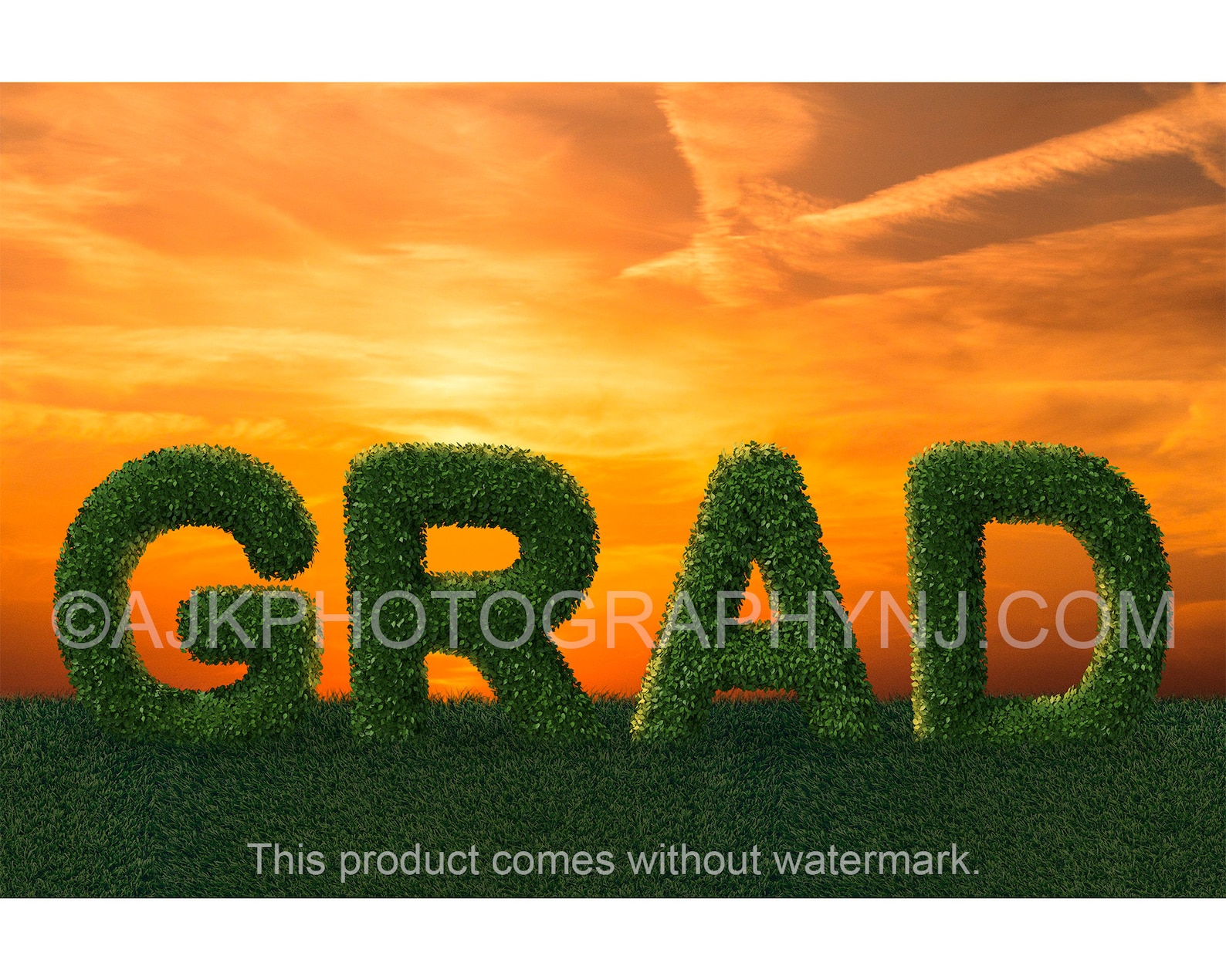 Graduation Digital Background, Bush Letters Spelling GRAD in Grassy ...