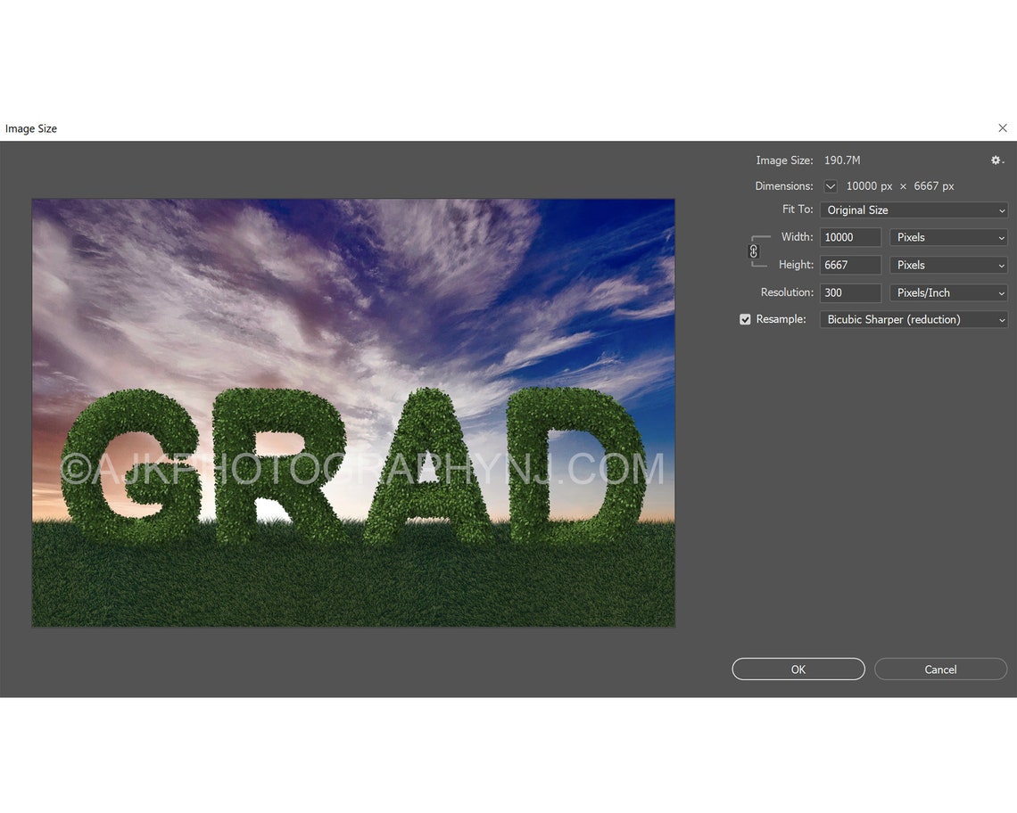 Graduation Digital Background Bush Letters Spelling GRAD in - Etsy