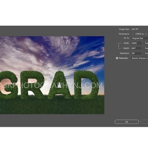 Graduation Digital Background, Bush Letters Spelling GRAD in Grassy ...