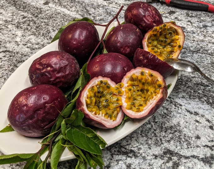 20 PURPLE Passion Fruit Seeds Passiflora Edulis Flavicarpa Tropical ...