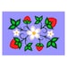 Blank Greeting Cards- Folded 5 Pack - Native American Strawberry Ode ...