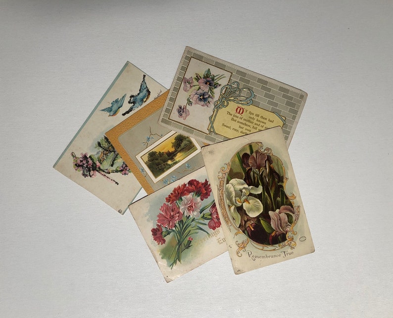 Early 20th Century Vintage Flower Postcards Set of Five Ephemera for ...