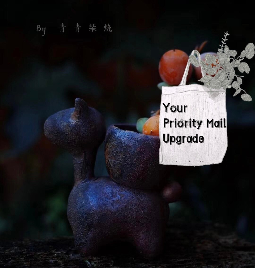 Priority Mail Upgrade - Etsy