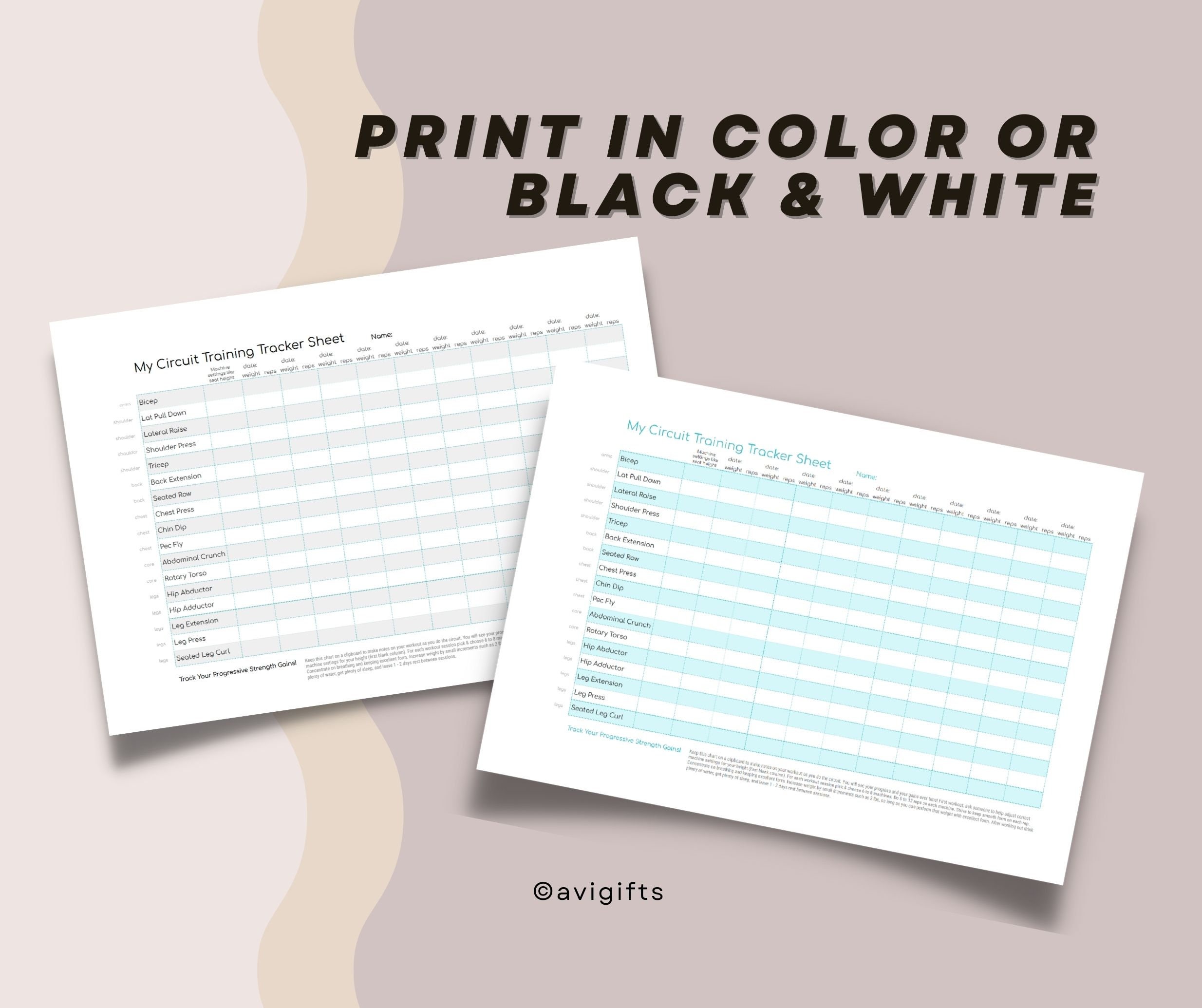 Circuit Training Tracker Sheet Printable - Etsy