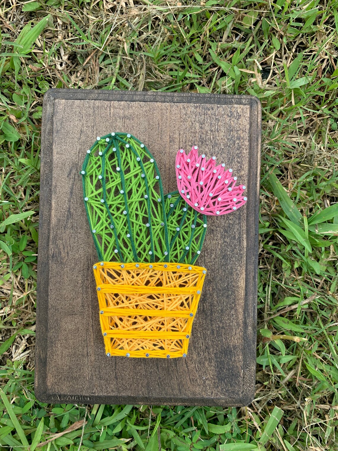 Cactus String Art, 4X6 - Etsy