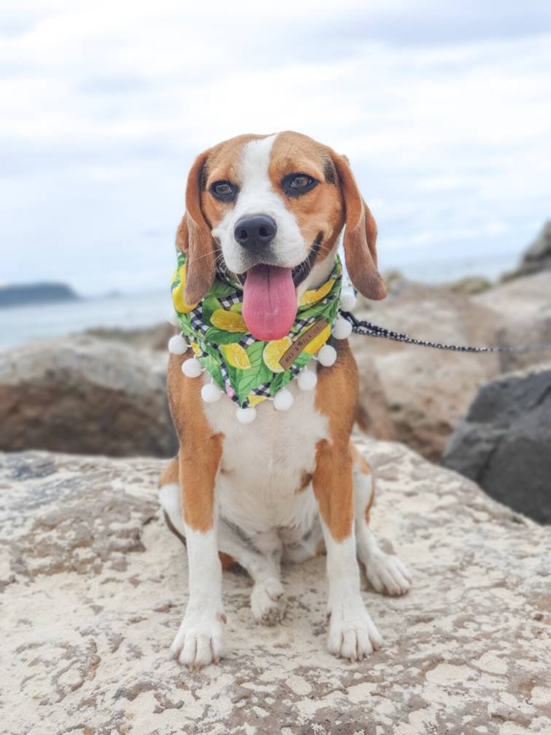 Lemon Squeeze Tie up Dog Bandana - Etsy