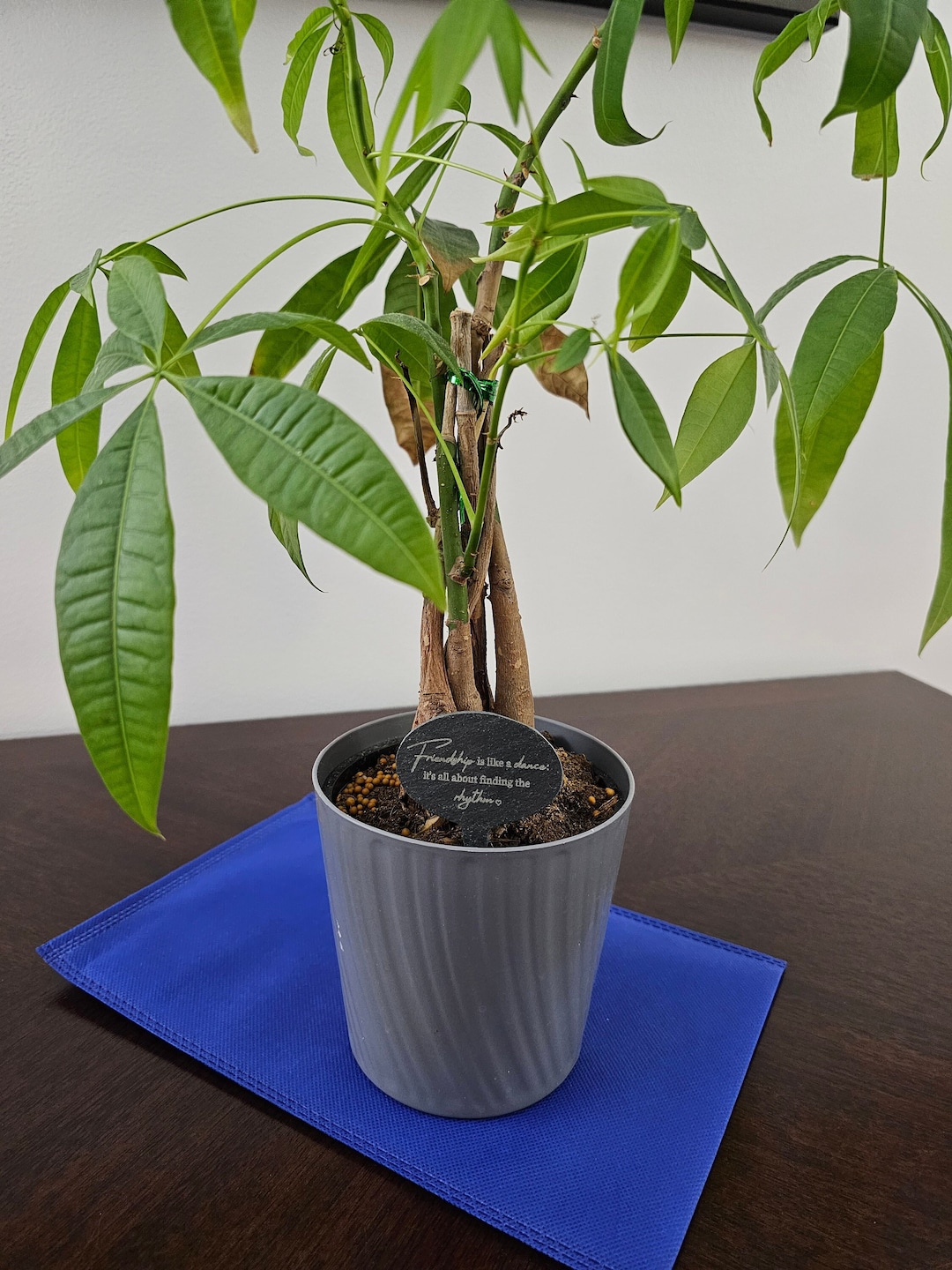 Custom Slate Plant Marker, Memorial Plant Label, Personalized Garden ...