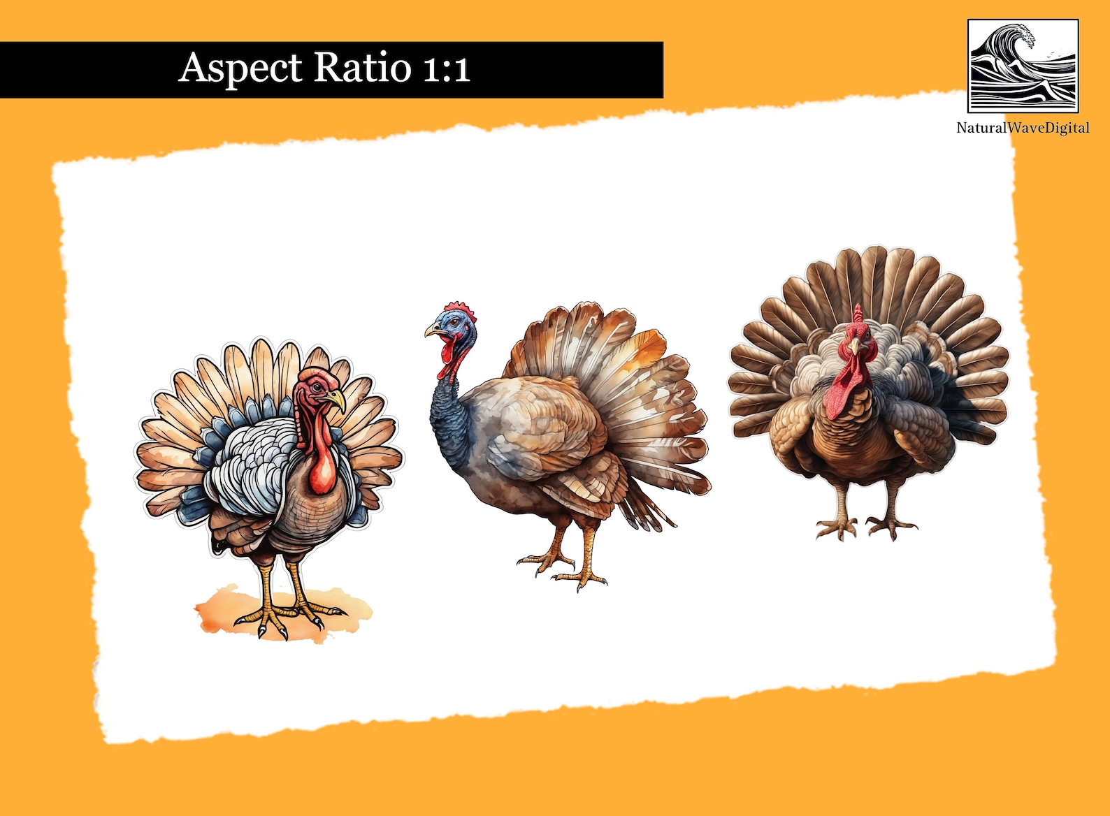 35 Turkey Clipart , Turkey Digital Clipart , Thanksgiving Clipart ...