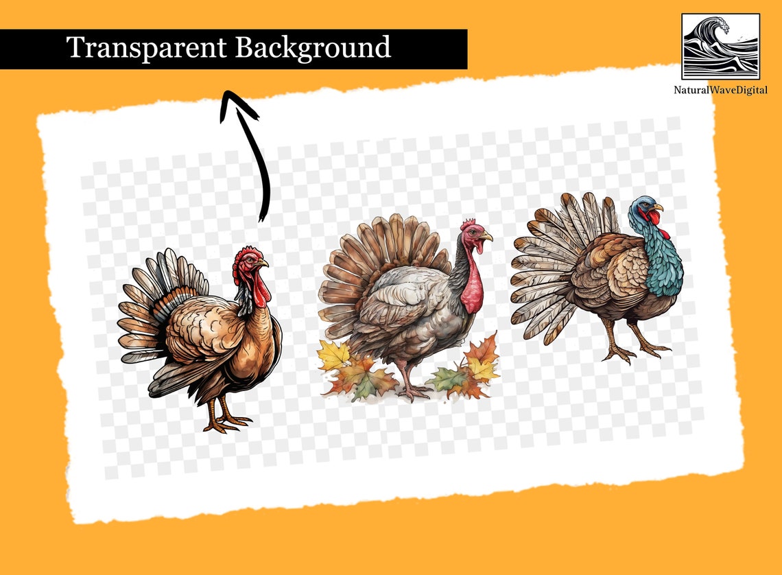 35 Turkey Clipart , Turkey Digital Clipart , Thanksgiving Clipart ...
