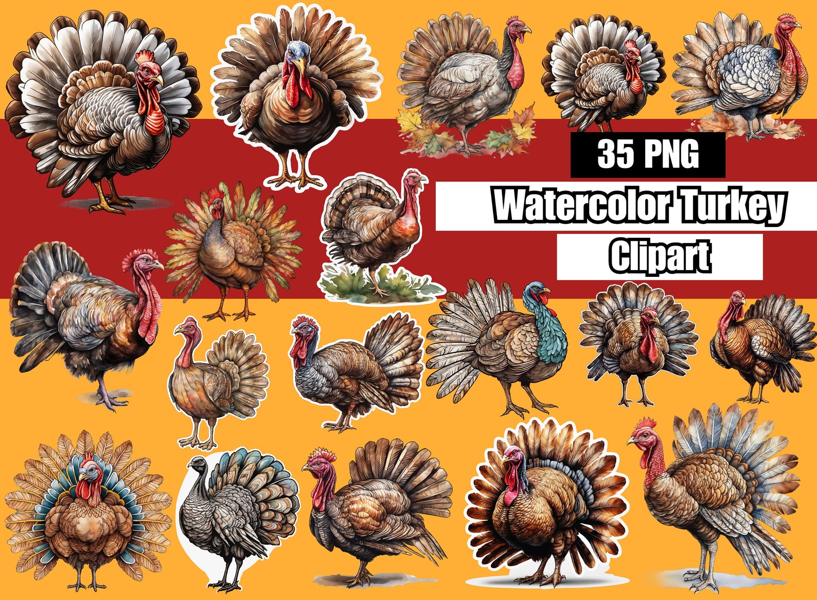 35 Turkey Clipart , Turkey Digital Clipart , Thanksgiving Clipart ...