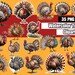35 Turkey Clipart , Turkey Digital Clipart , Thanksgiving Clipart ...