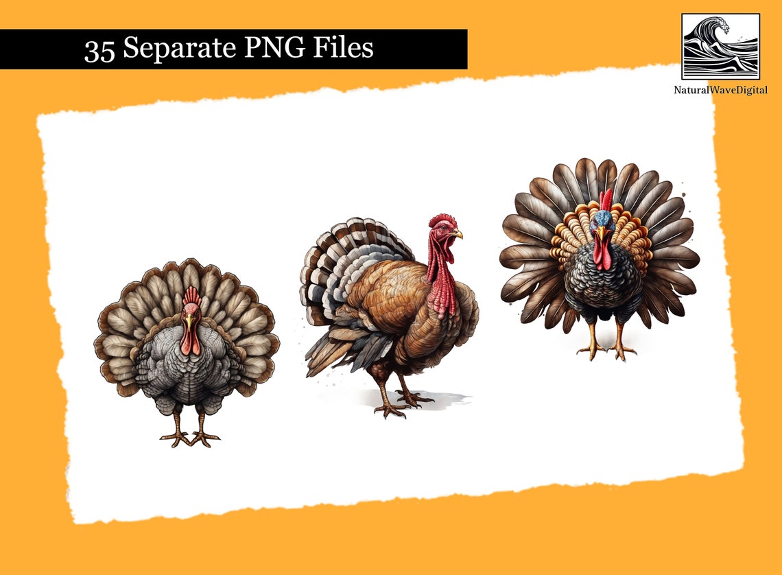 35 Turkey Clipart , Turkey Digital Clipart , Thanksgiving Clipart ...