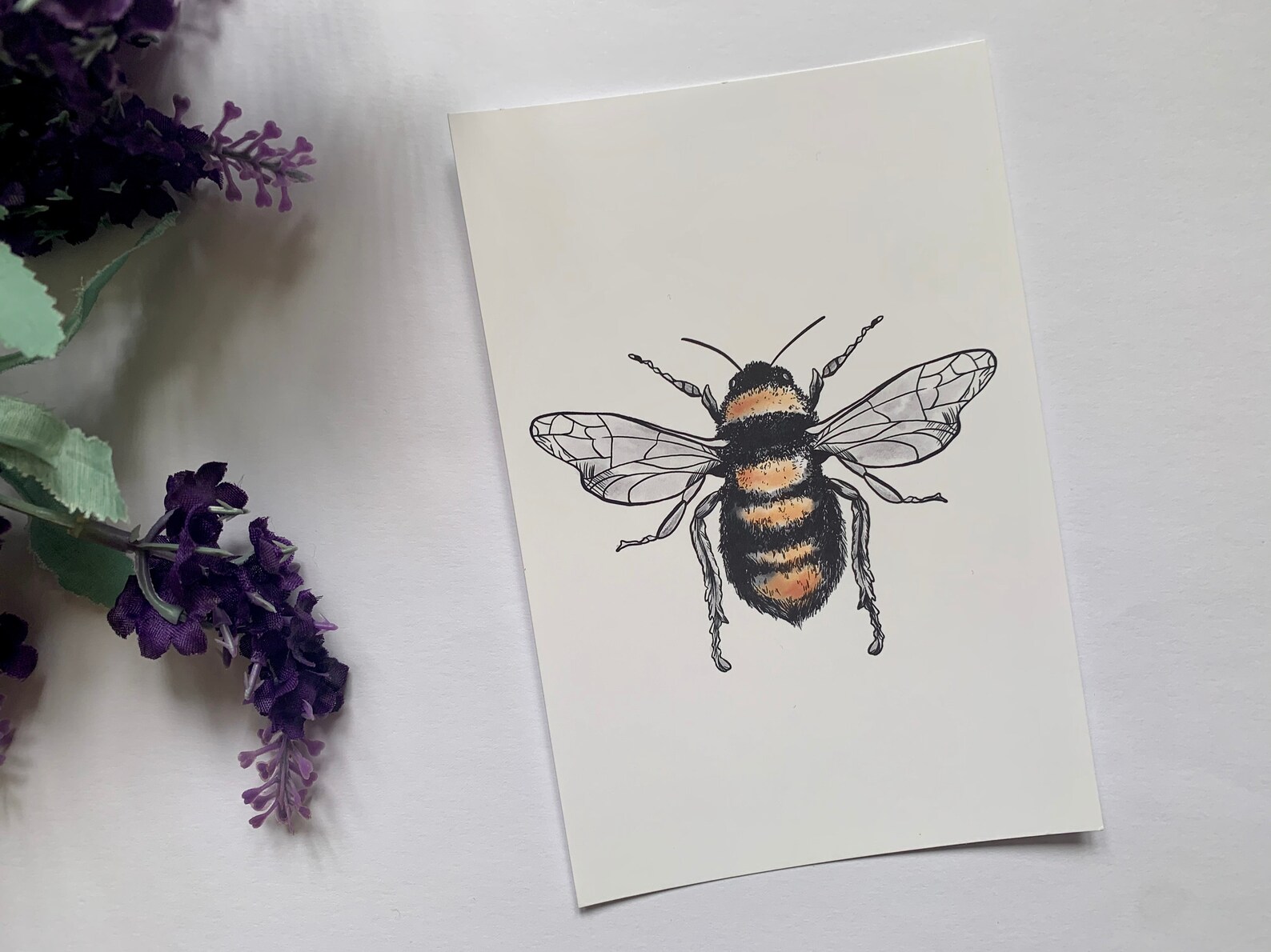 Bumblebee Line Drawing Honeybee Realistic Art Print | Etsy