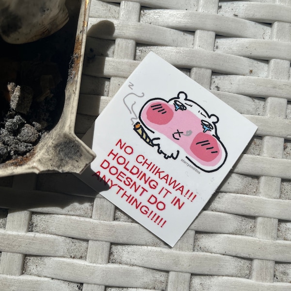 Chiikawa Stickers - Etsy