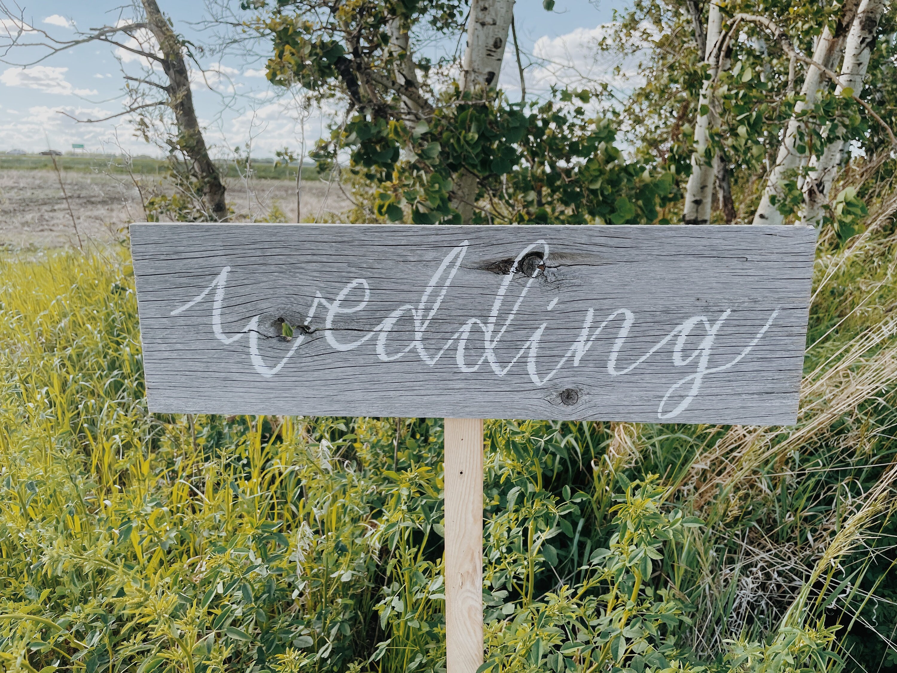 Paper & Party Supplies event road sign, hand lettered, name, white ...