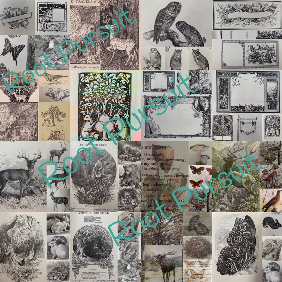 Woodland Animal Friends - PRINTABLE - Etsy