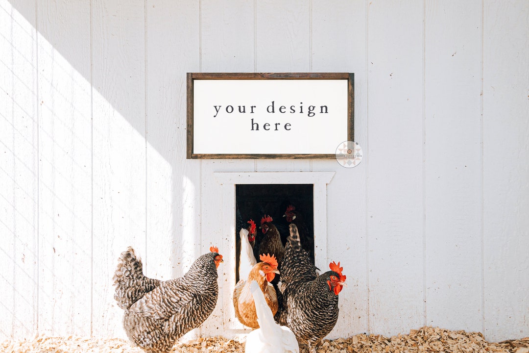 12x18 Blank Farmhouse Sign | White Chicken Coop Scene With Chickens ...