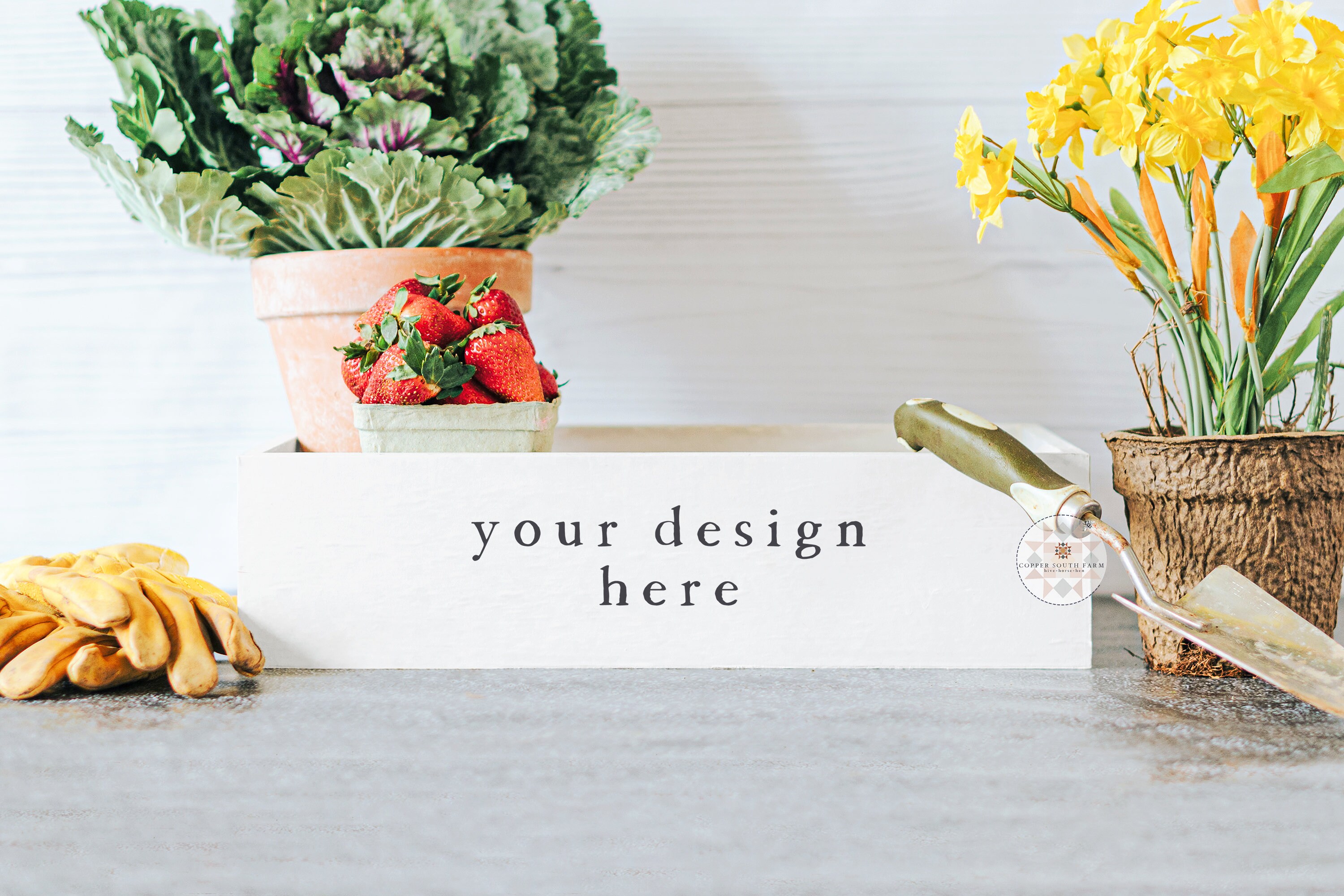 Garden Seed Box Mockup Seed Box Mockup Blank Wood Box - Etsy