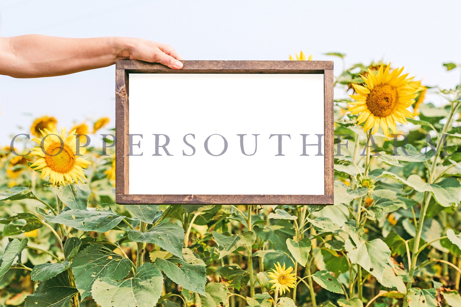 Sunflower Field Scene 12x18 Blank Wood Sign Cute Wood Sign | Etsy