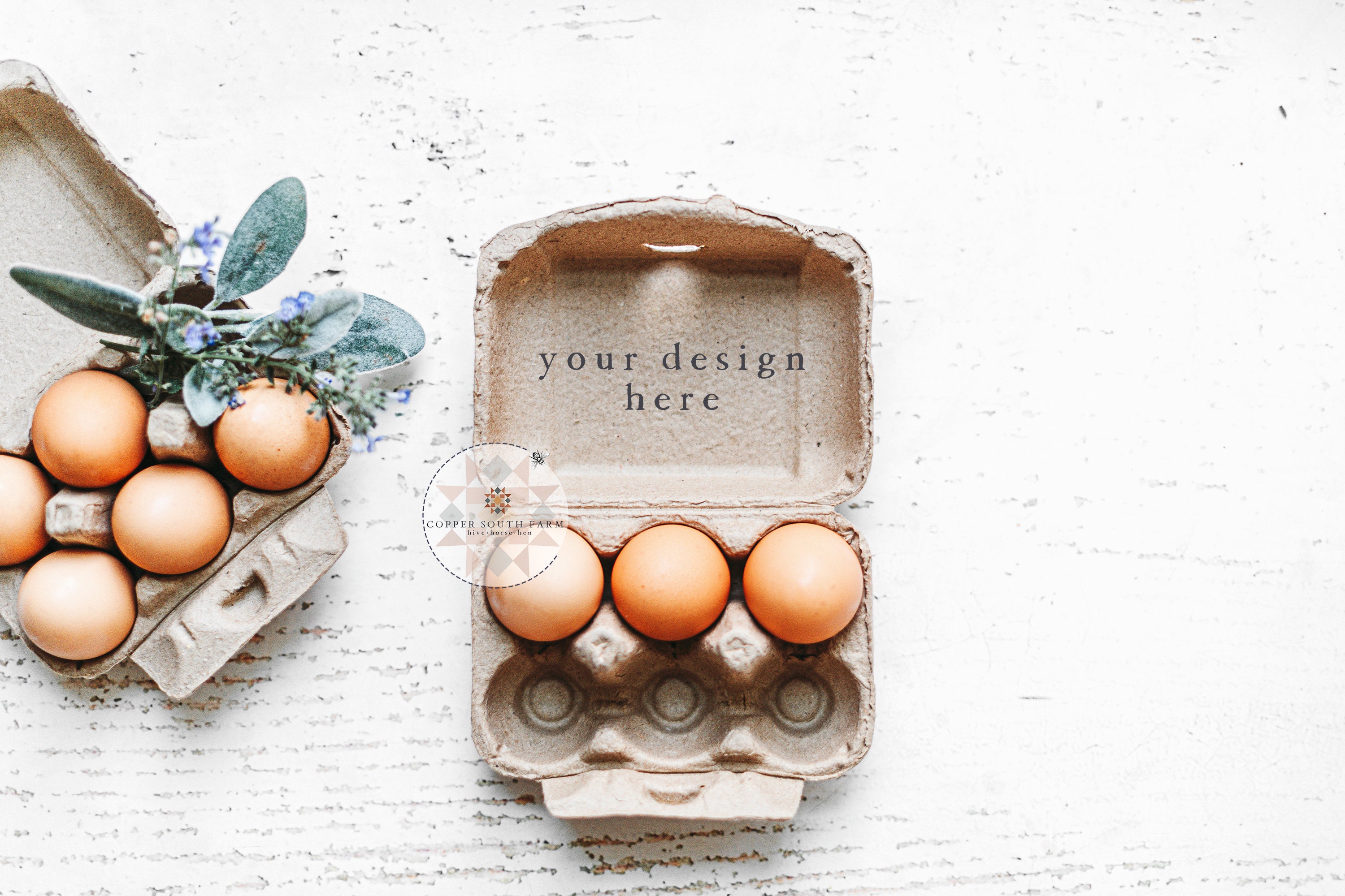 Maqueta de cartón de huevo / Maqueta de sello de huevo / - Etsy México