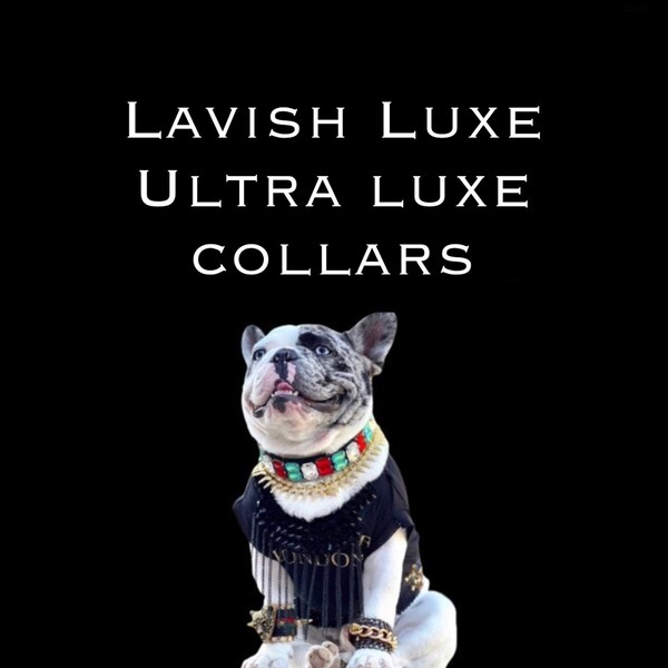 Luxury Dog Collar - Etsy